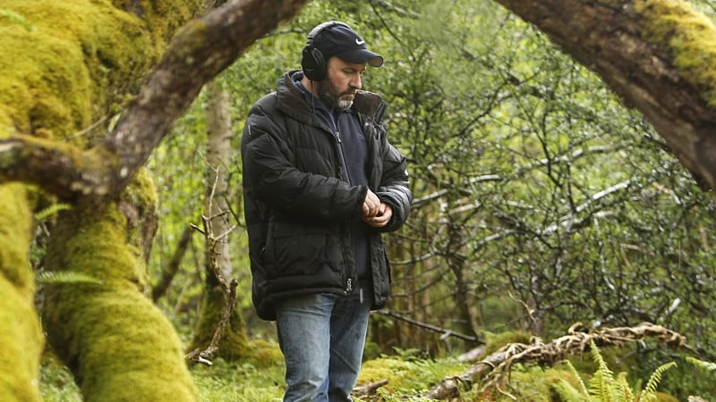 Director Pat Collins