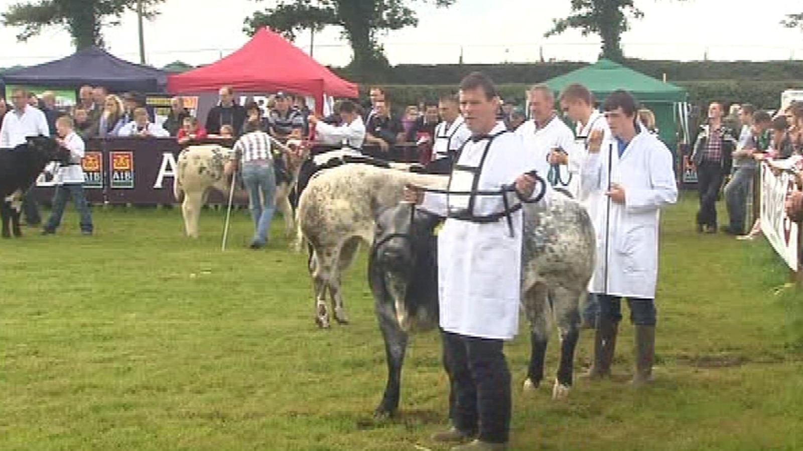 60,000 flock to Tullamore show