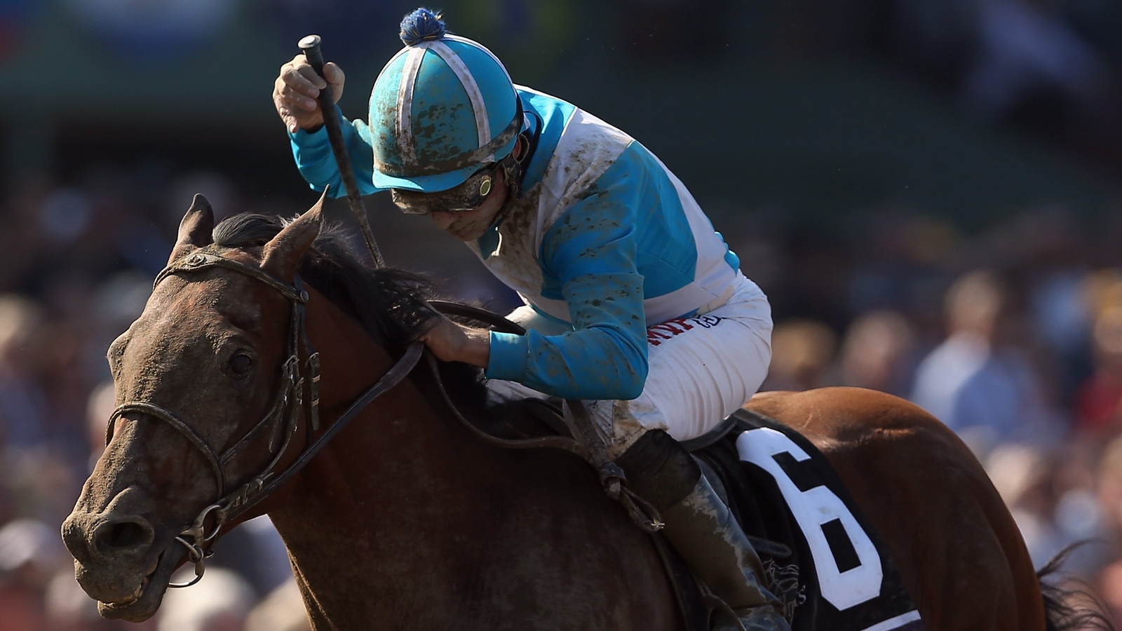 Calidoscopio gallops to Marathon success