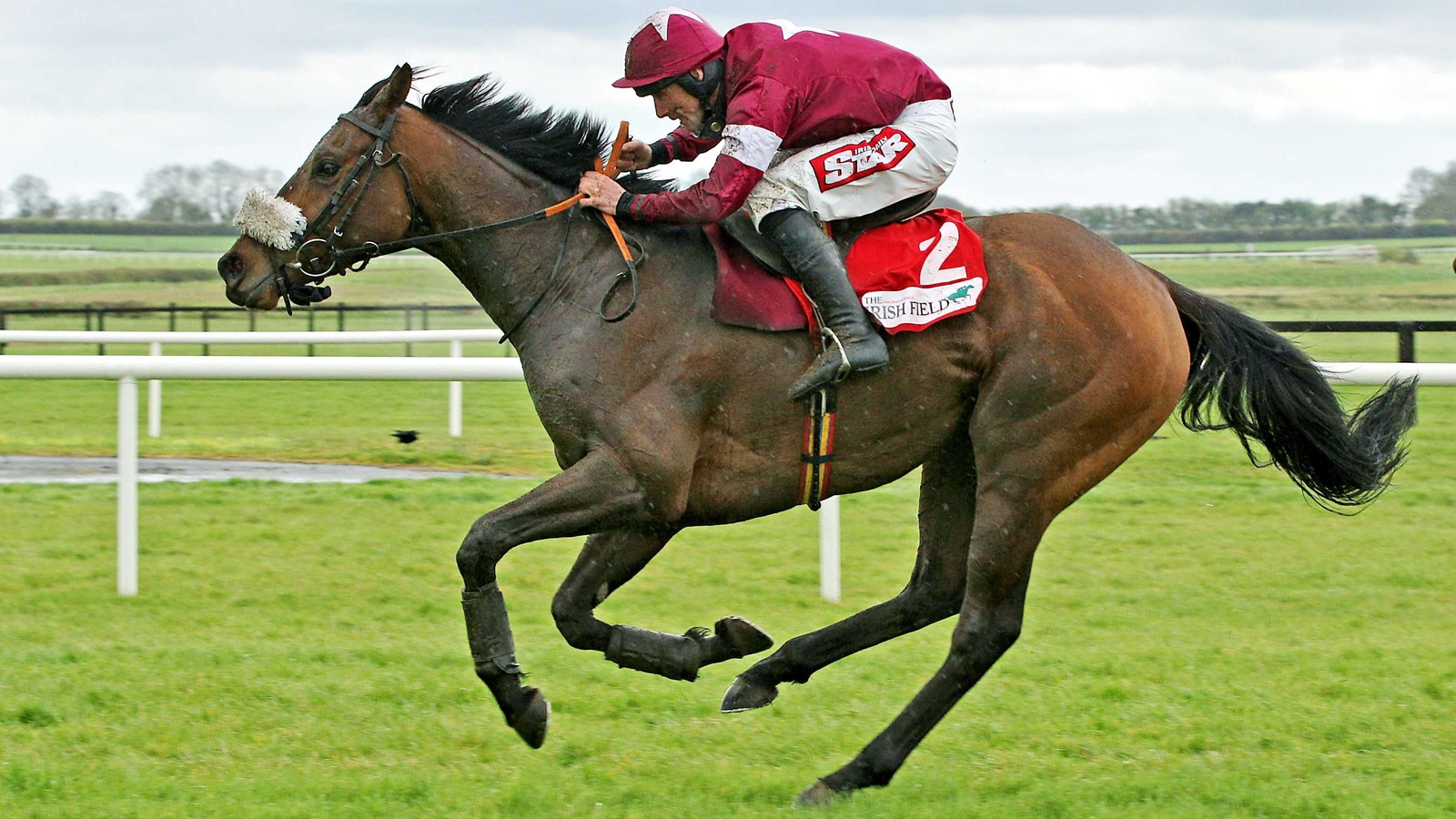 Dedigout bounds to Boyne Hurdle success