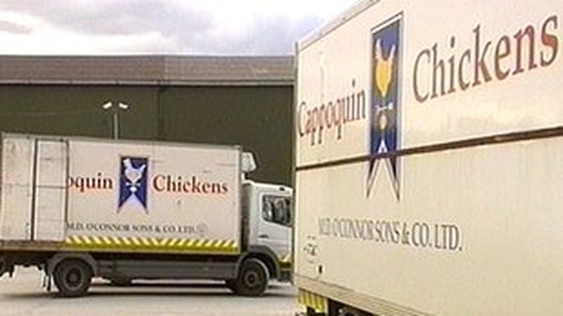 Over 70 jobs may be saved at Cappoquin Chickens