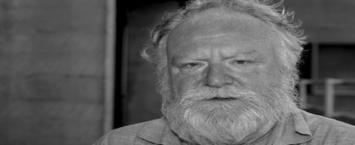 Playwrights in Profile Frank McGuinness