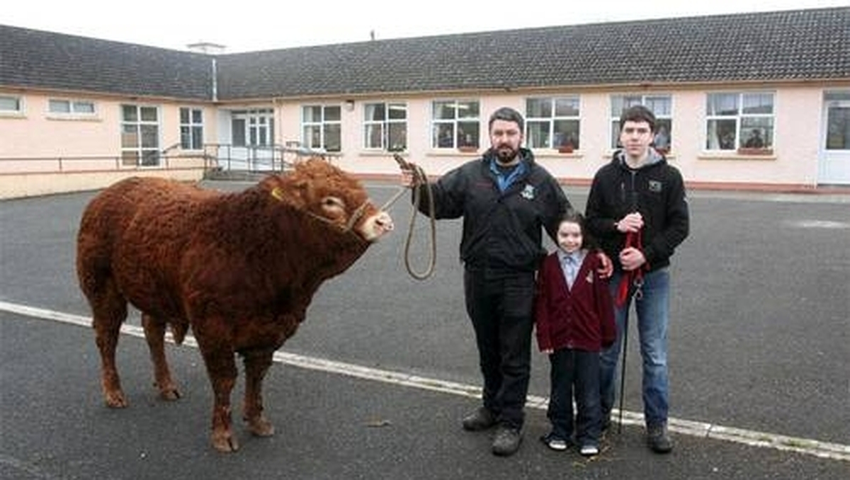 Farmer Des Joyce & his bull | Mornings With Dave Fanning - RTÉ Radio 1