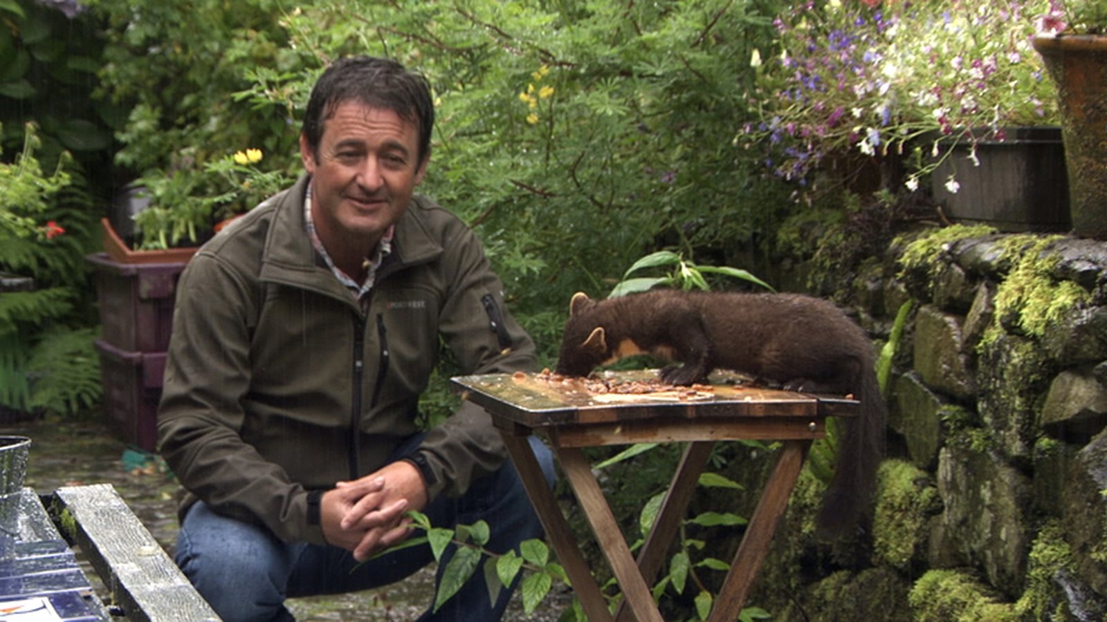 Colin Stafford-Johnson's Living the Wildlife