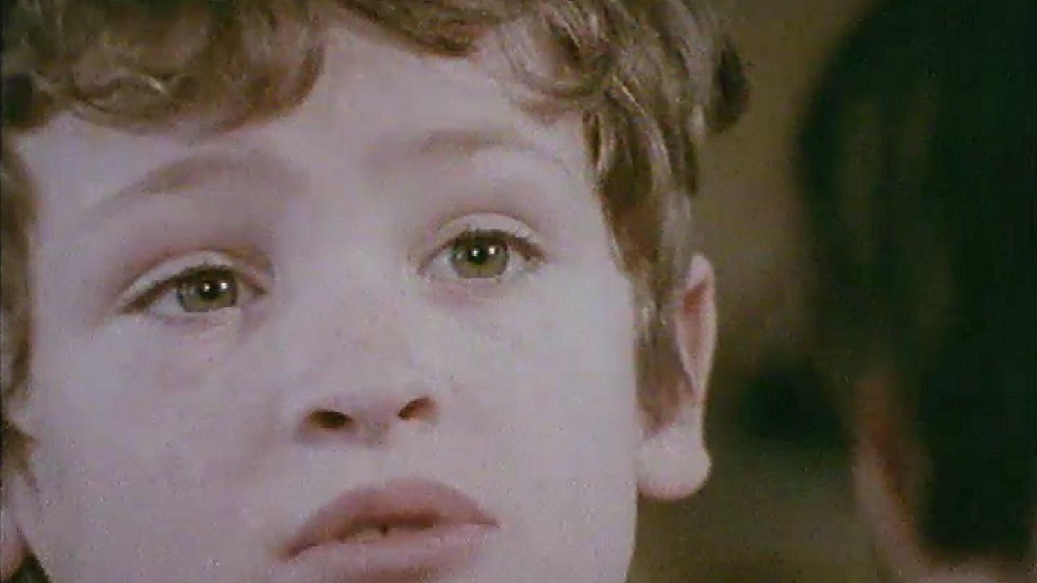 RTÉ Archives | Celebrations | Saint Patrick was a Gentleman