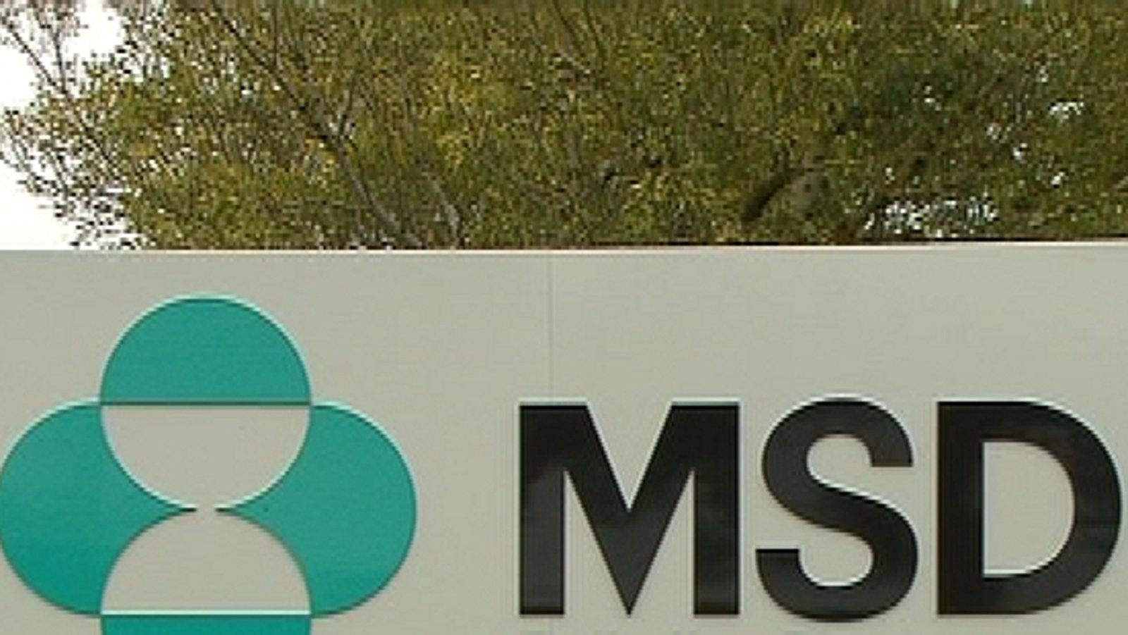 MSD Ireland to cut 70 jobs at Cork plant