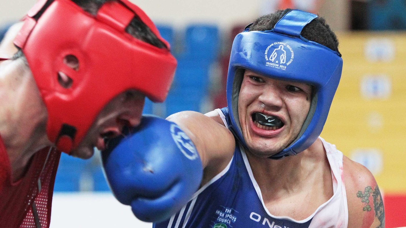 Elite boxers win five from six openers