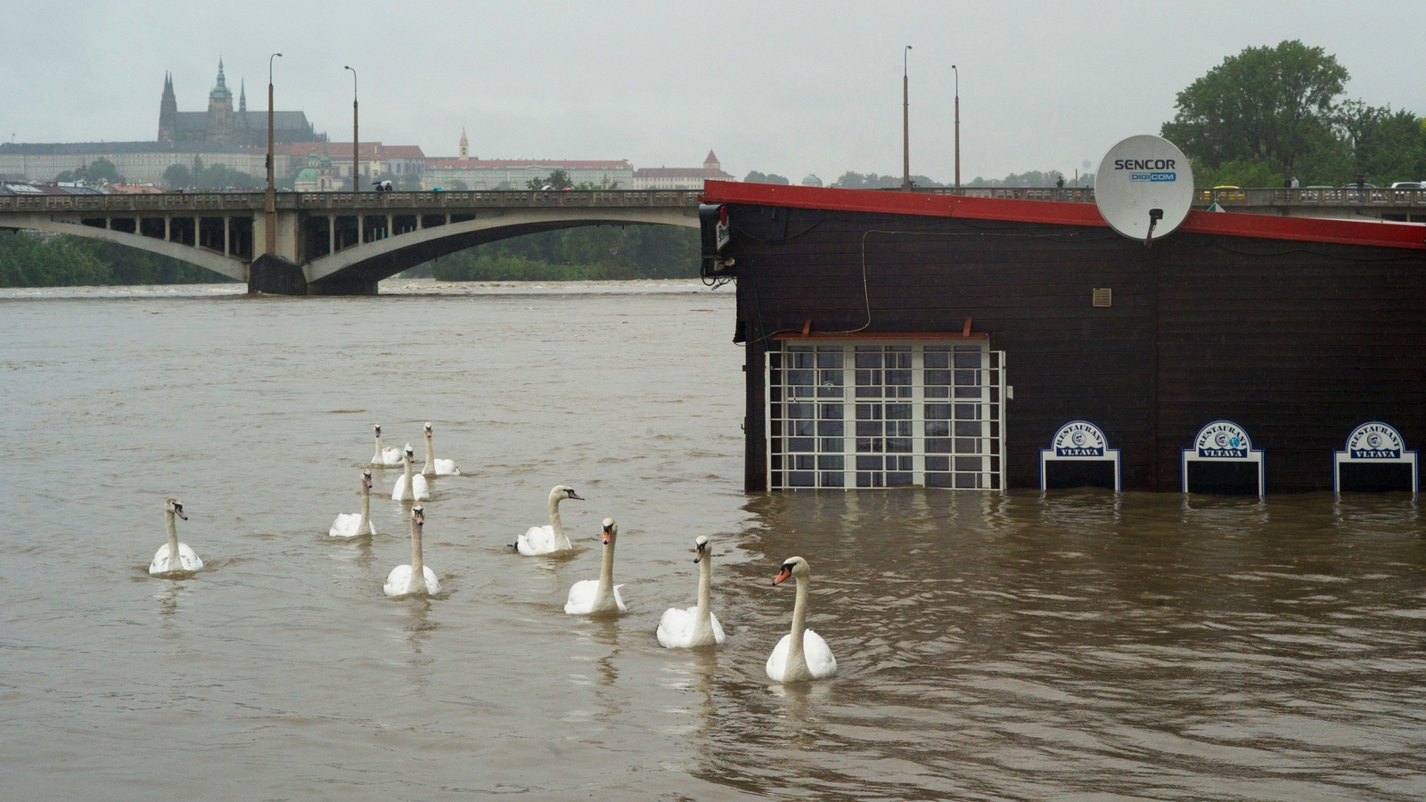Heavy flooding hits central Europe