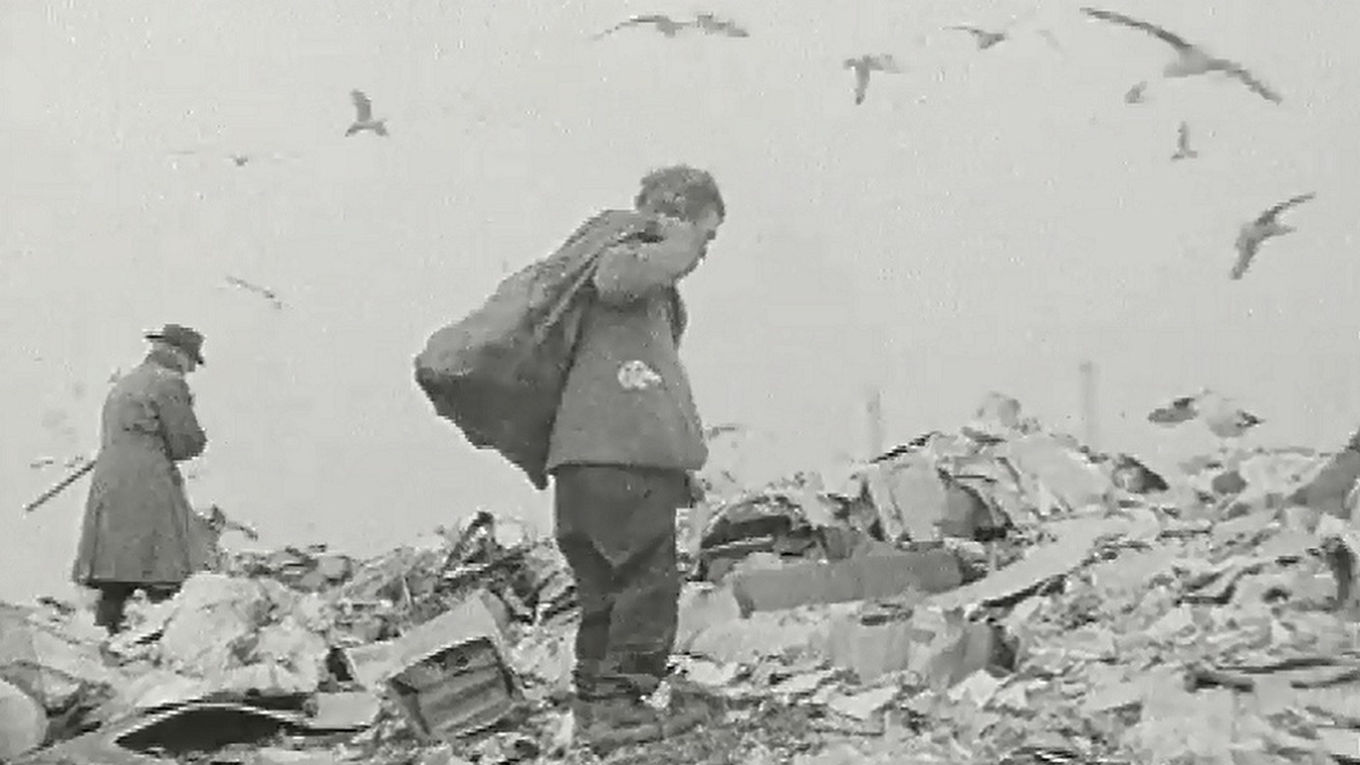 RTÉ Archives | Environment | Pickeroons Down In The Dumps