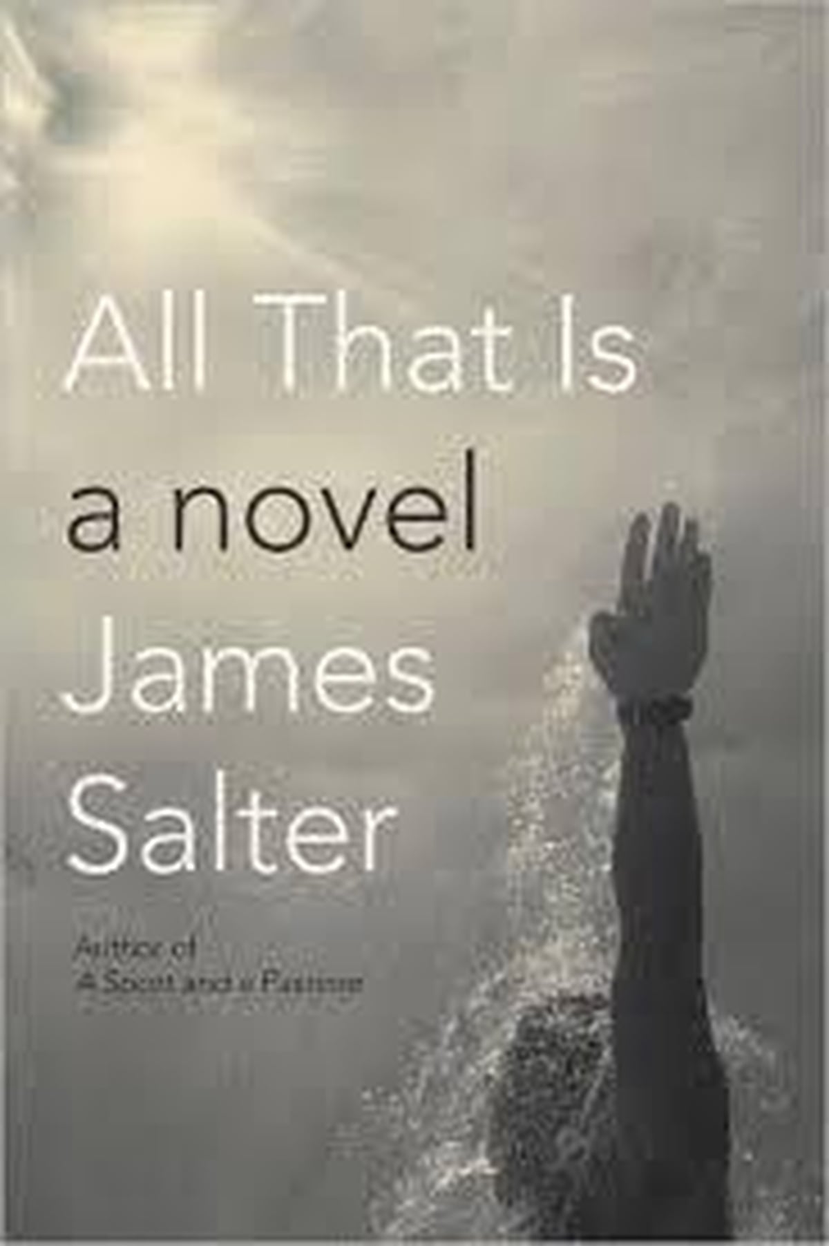 Author James Salter | Arena - RTÉ Radio 1