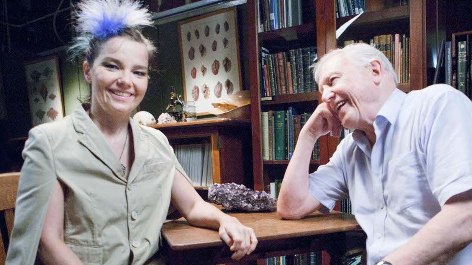 Björk for major New York retrospective