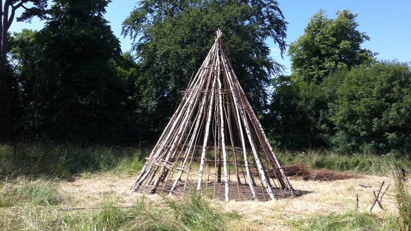 UCD volunteers build Stone Age dwelling
