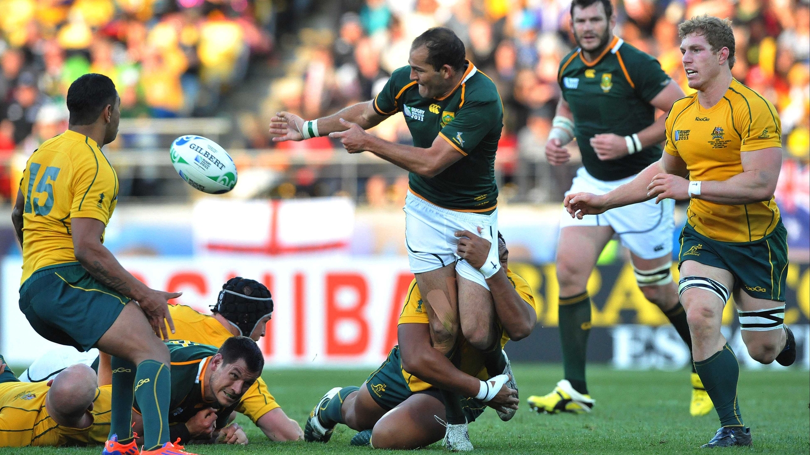 Du Preez earns Springbok recall