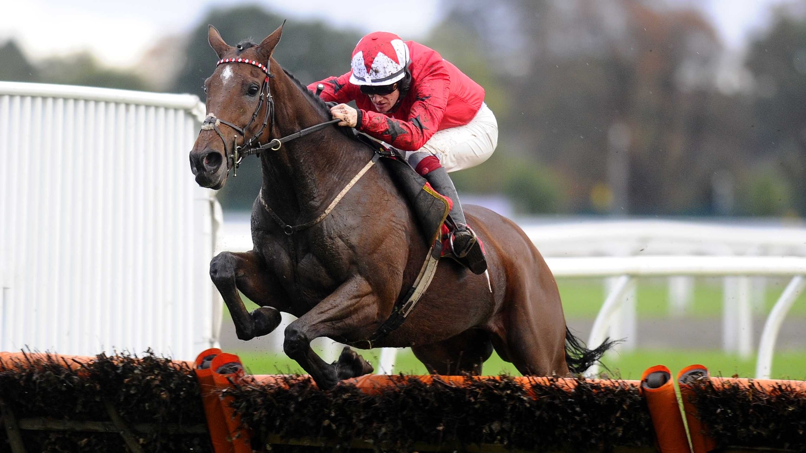 New One simply sublime on seasonal debut