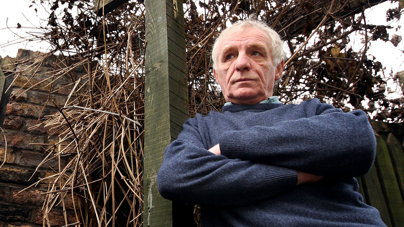 Dunphy: Ireland would have done well at World Cup