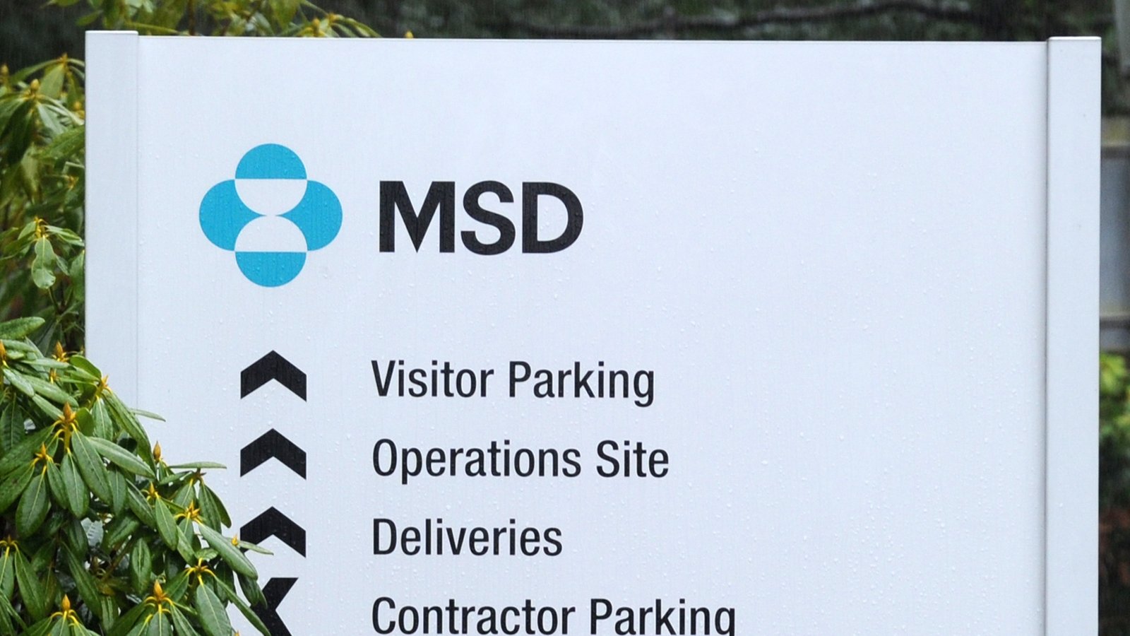MSD to invest €11.5m in Carlow site