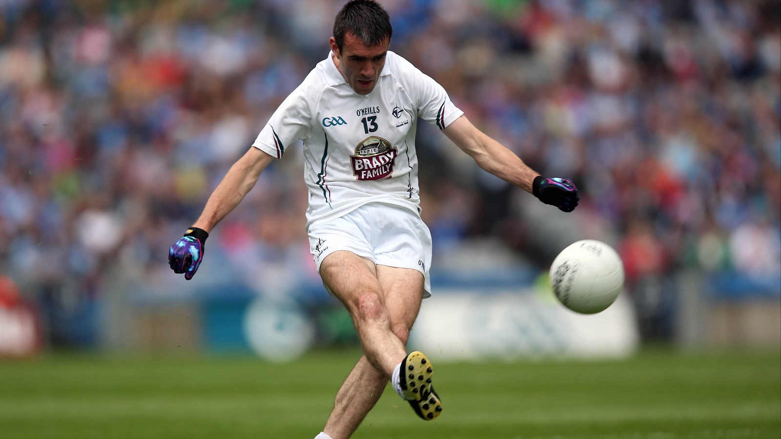 Doyle could return for Kerry clash