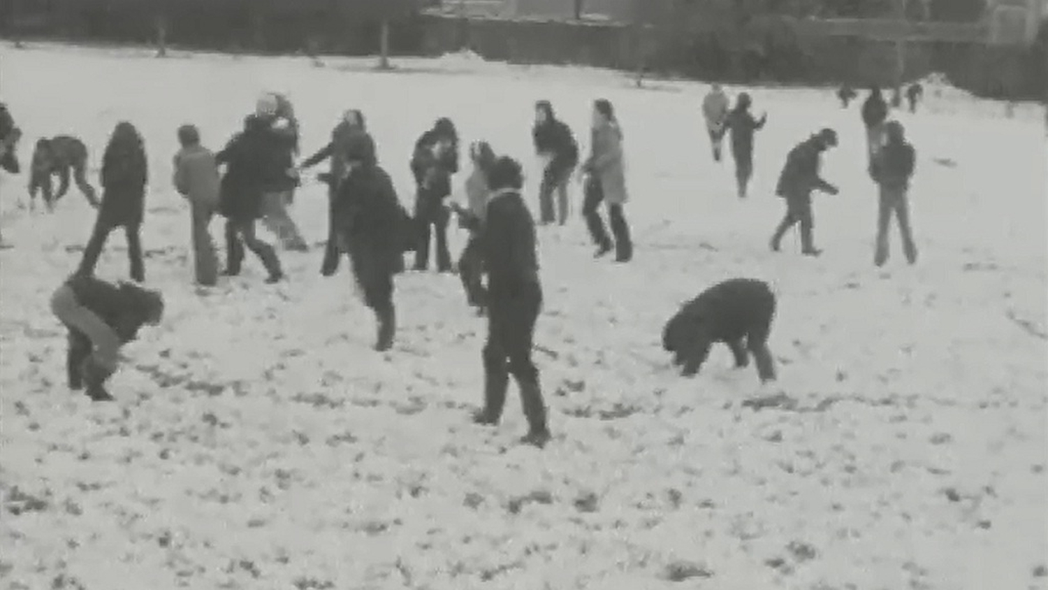 RTÉ Archives | Environment | Snowfall Throughout Ireland