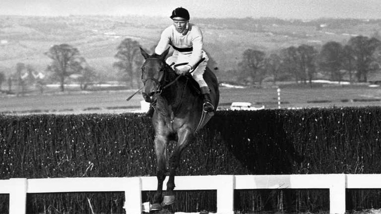 RTÉ Archives | Sports | Arkle Wins Cheltenham Gold Cup