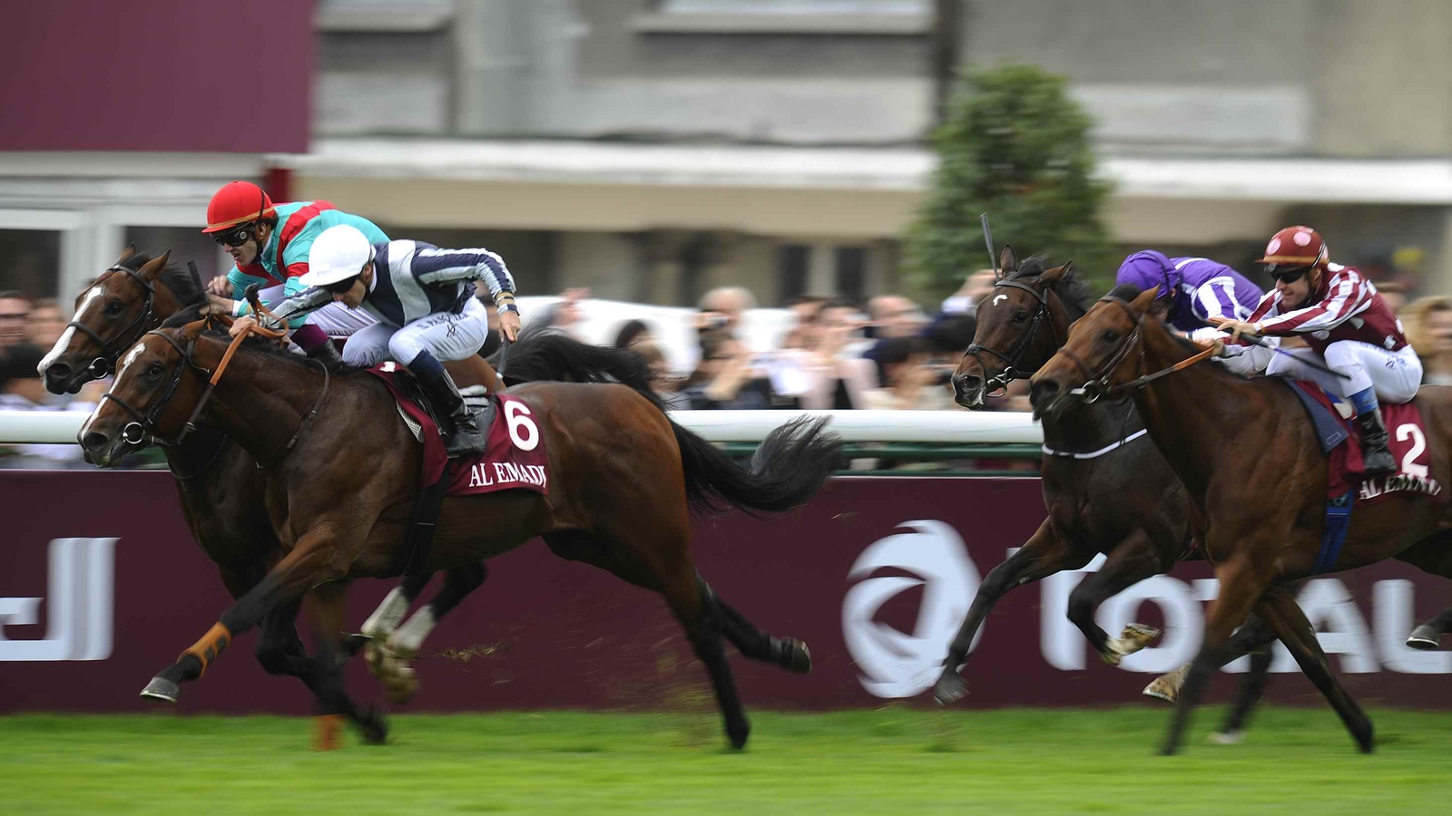 Ectot stars at Longchamp