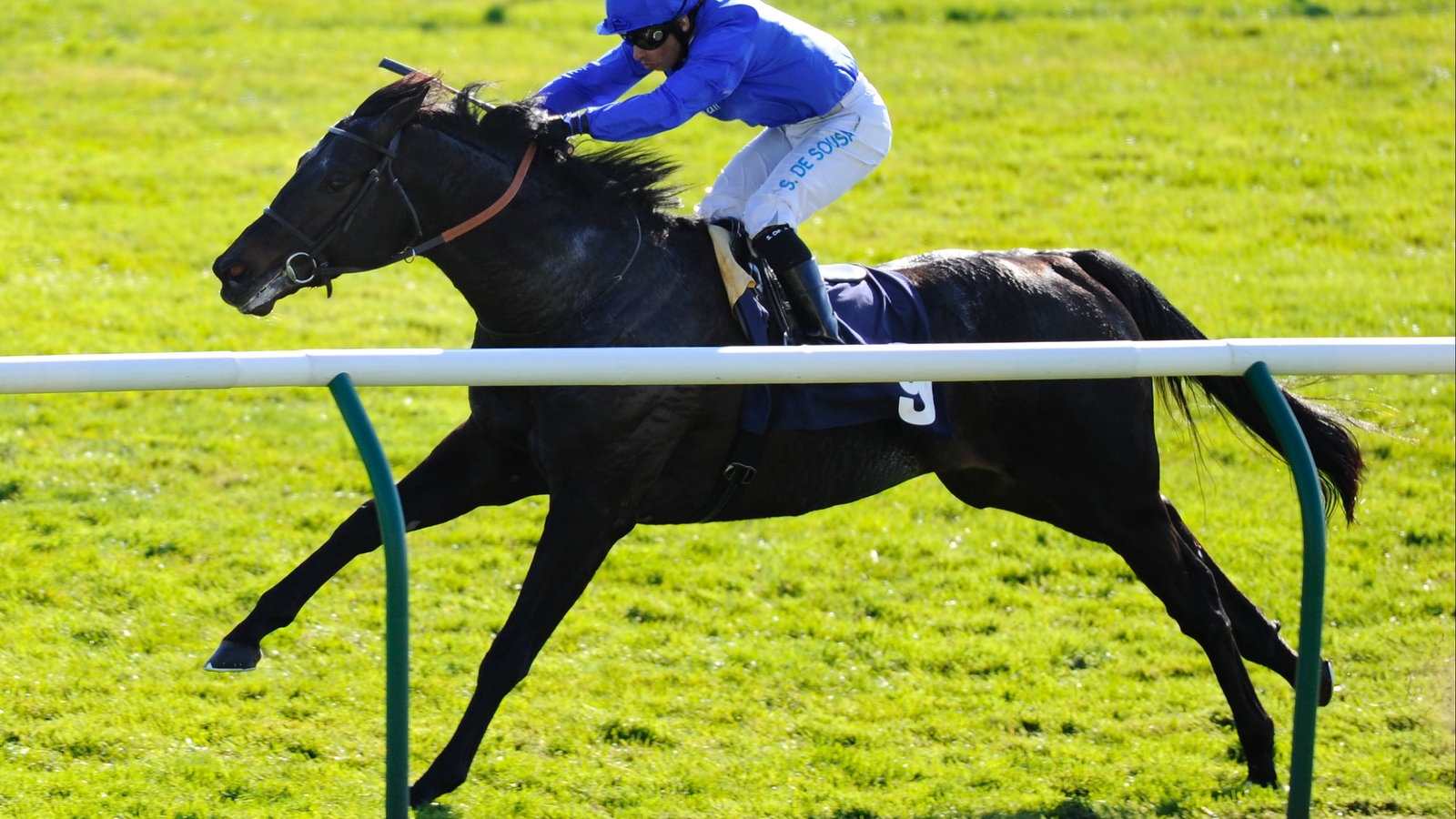 Fallon hoping for fast ground at Elsom