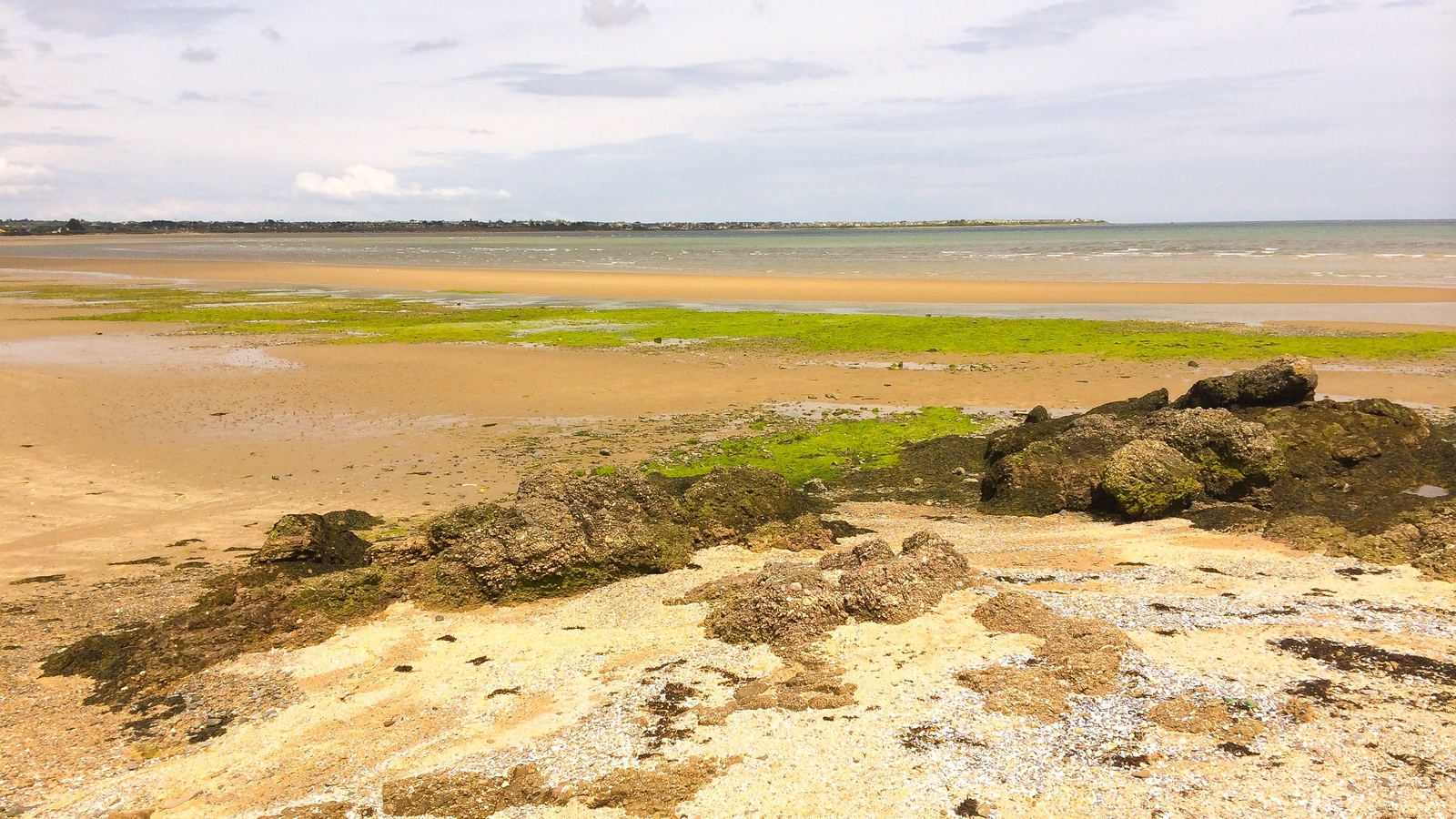 More Blue Flags for Irish beaches