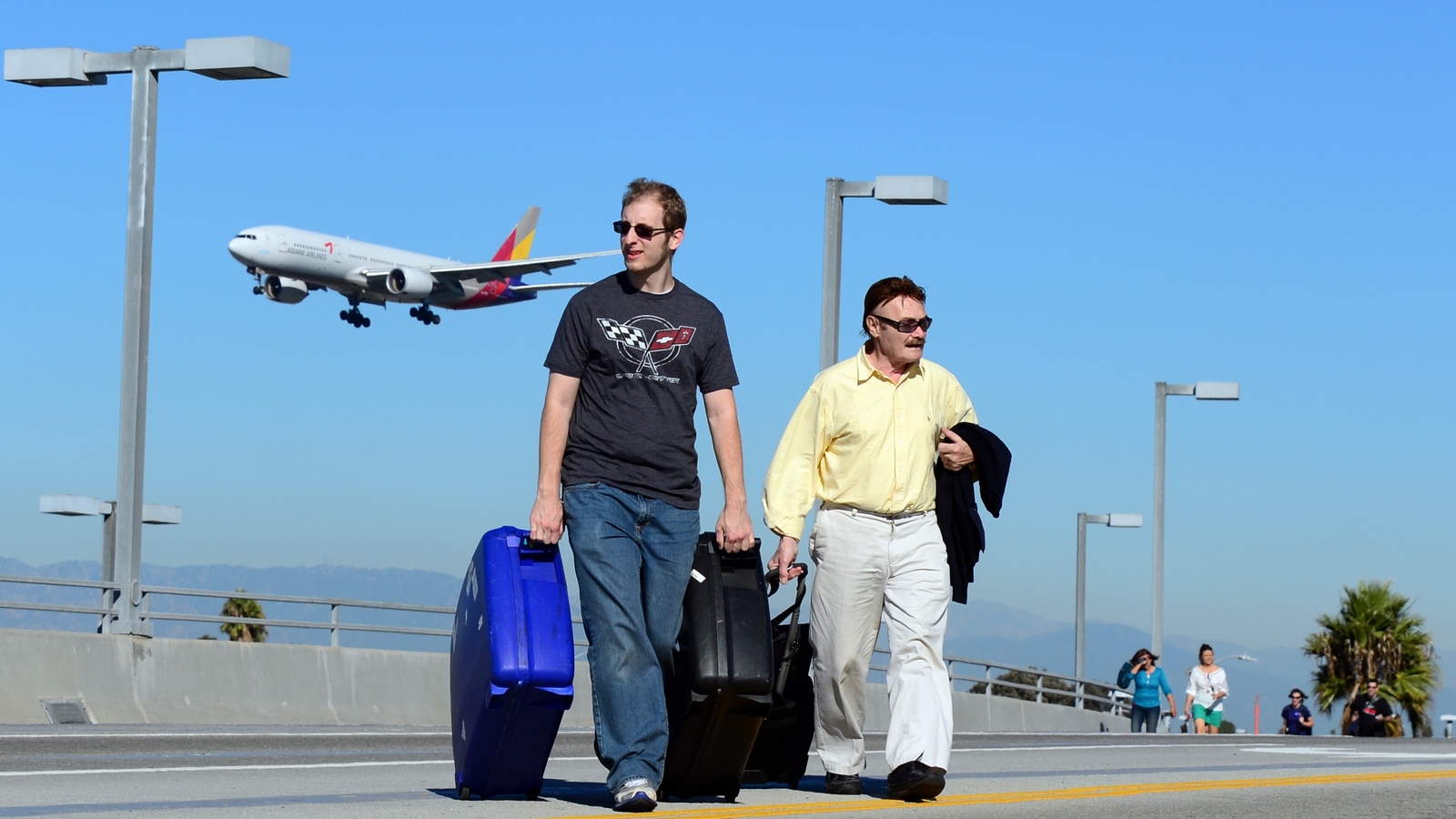 How to ward off vampires among most bizarre traveller queries