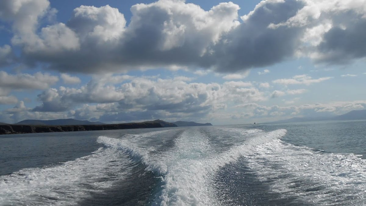 Breandán Ó Beirn, Príomhfheidhmeannach Chumann Táirgeoirí agus ...