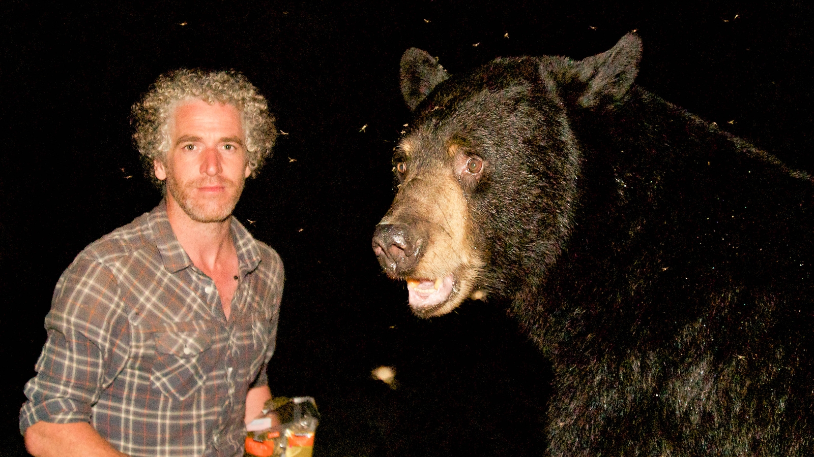 Interview: Wildlife presenter Gordon Buchanan