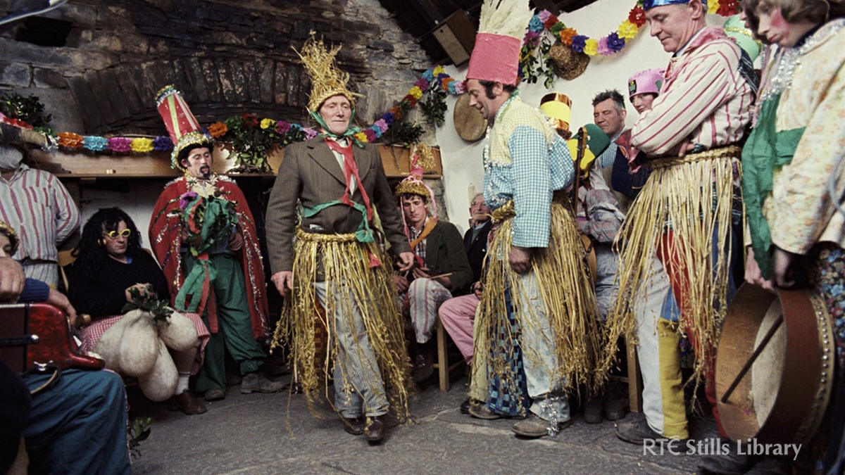 The Wran, The Wran, The King of All Birds | The Wren - The Wran, The ...