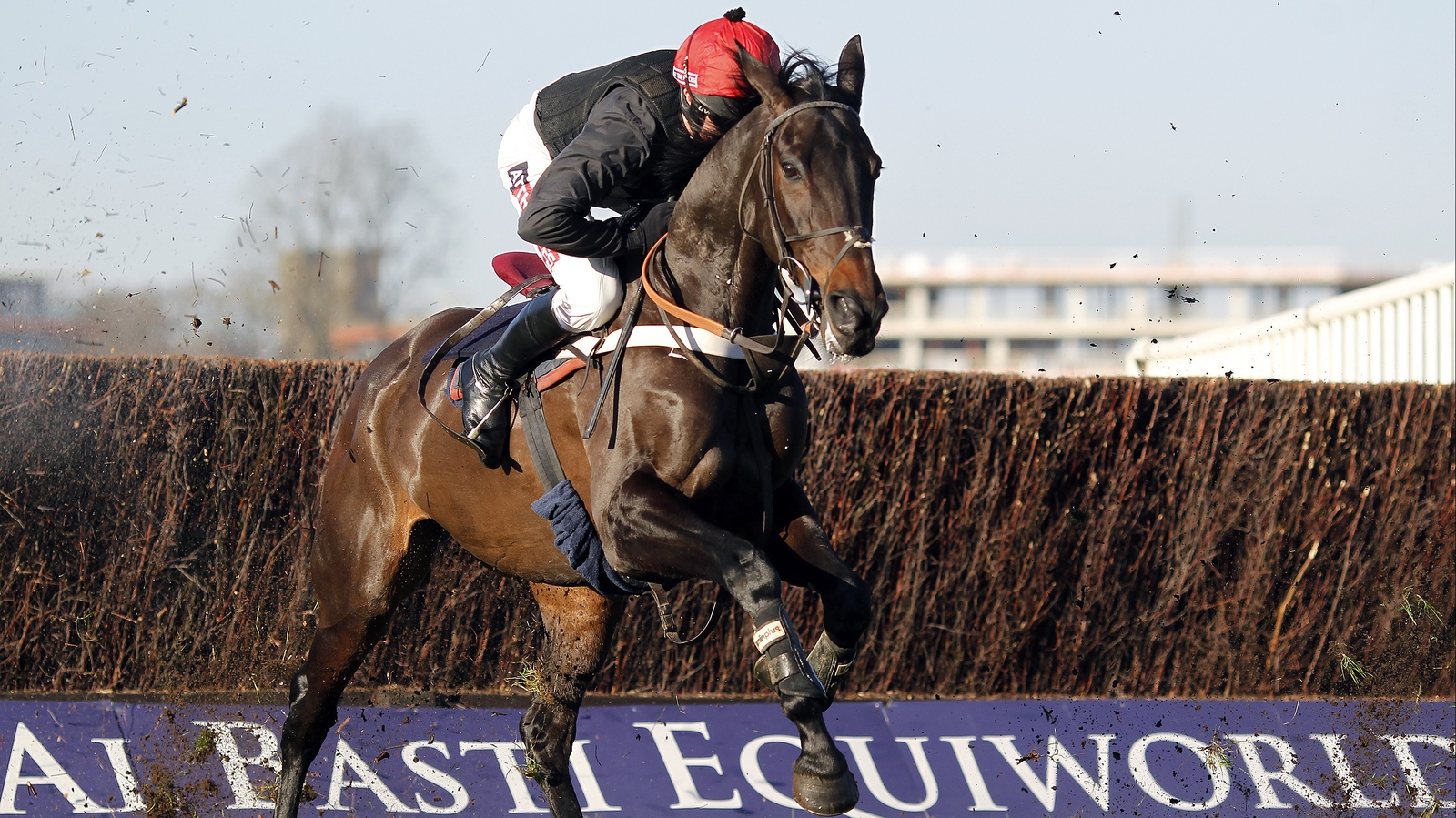 Henderson to stall Sprinter Sacre call