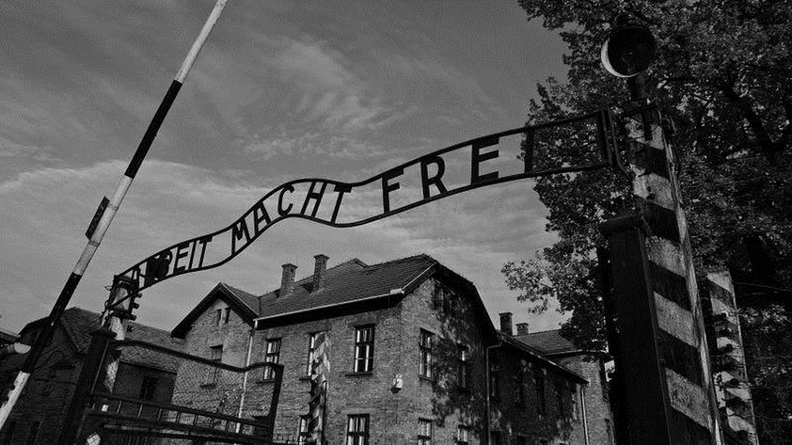 The Volunteer /The Ratline review : New books mark the 75th anniversary ...