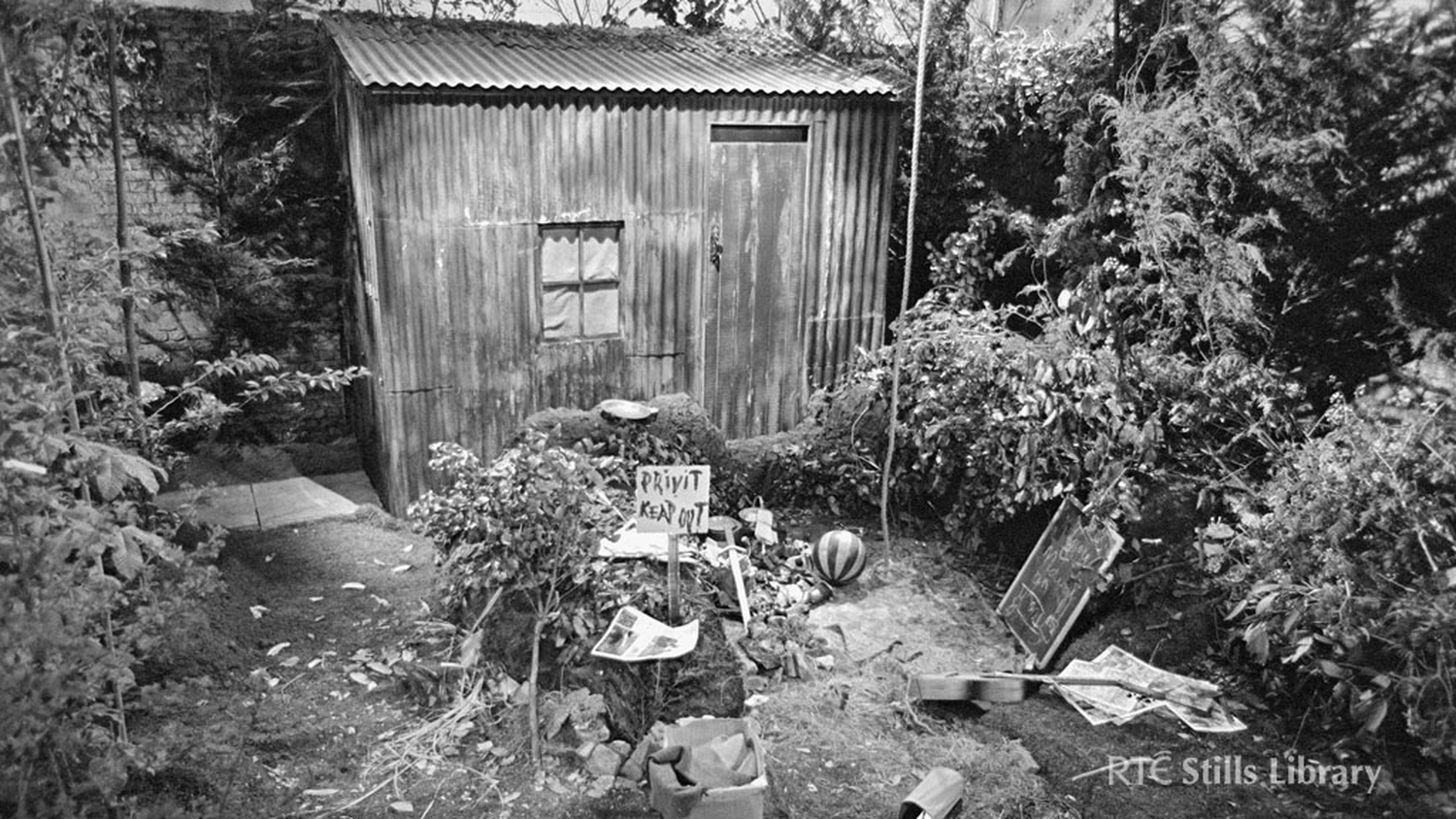 RTÉ Archives | Arts and Culture | Derek Mahon Defies Categories