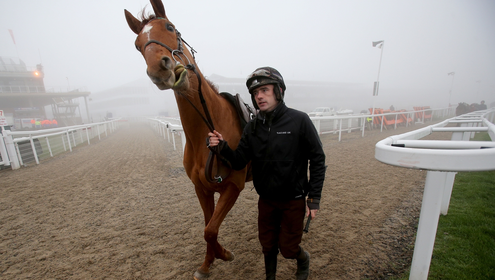 Annie Power remains in Mares' Hurdle entries