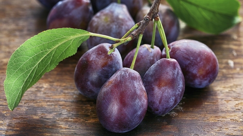 Bramley Apple and Plum Sauce