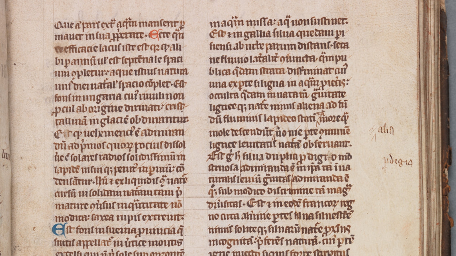Did a medieval Irish manuscript uncover a new word of Old Dutch?