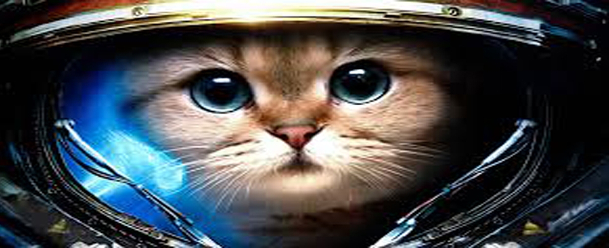 Drama On One - Nothing and No One Go To The Moon