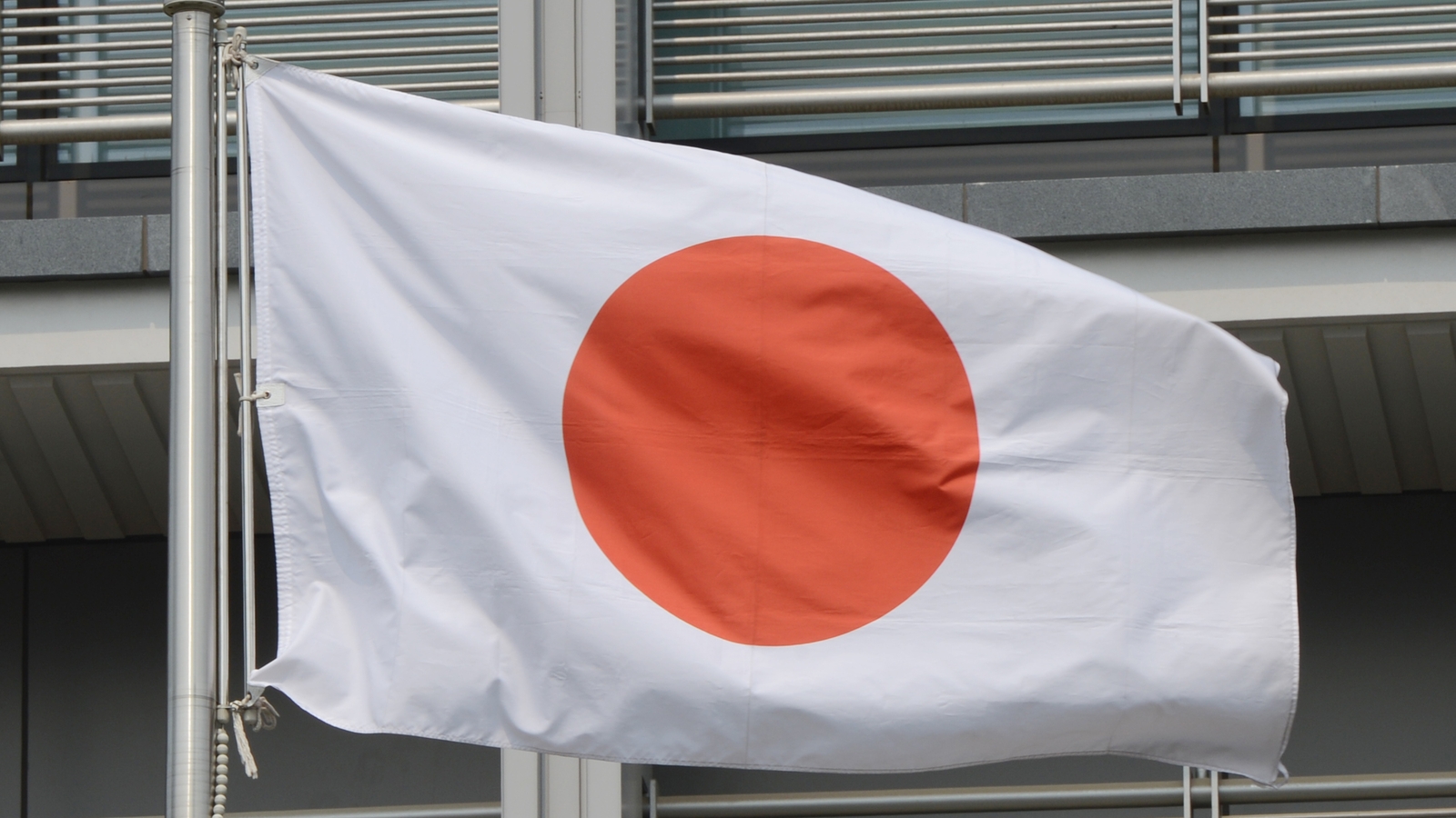 Learn about the shared history of Ireland and Japan!