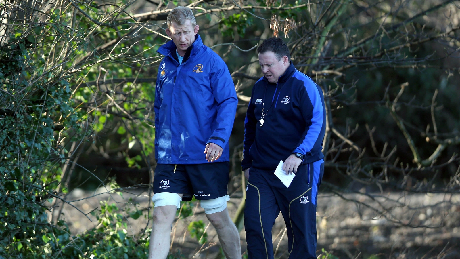 O’Connor backs Cullen as Leinster coach