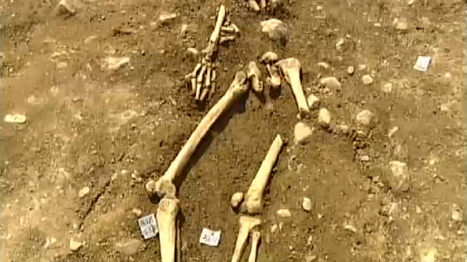 RTÉ Archives | Society | Viking Remains Found