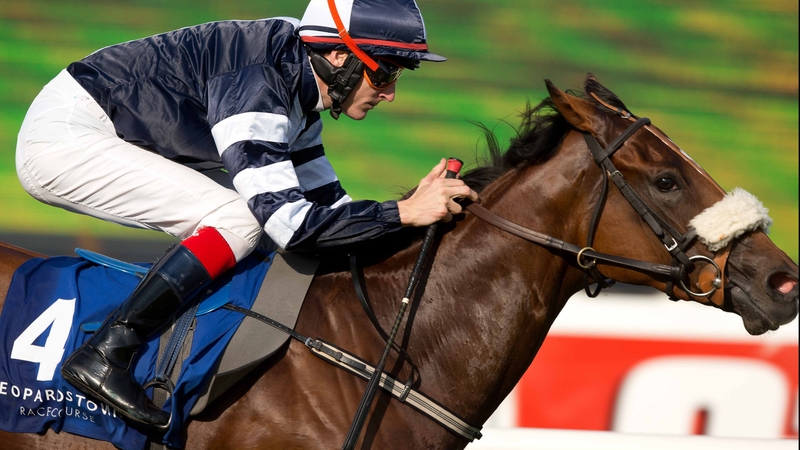 Jack Naylor back to winning ways at Gowran Park