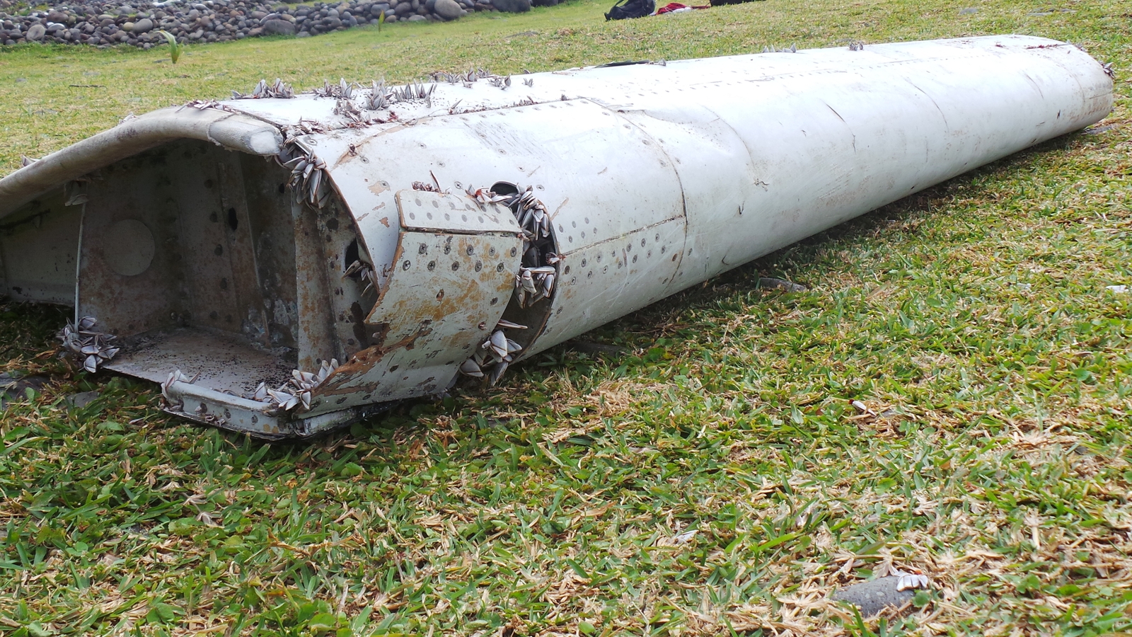 Recovered plane debris brought to France
