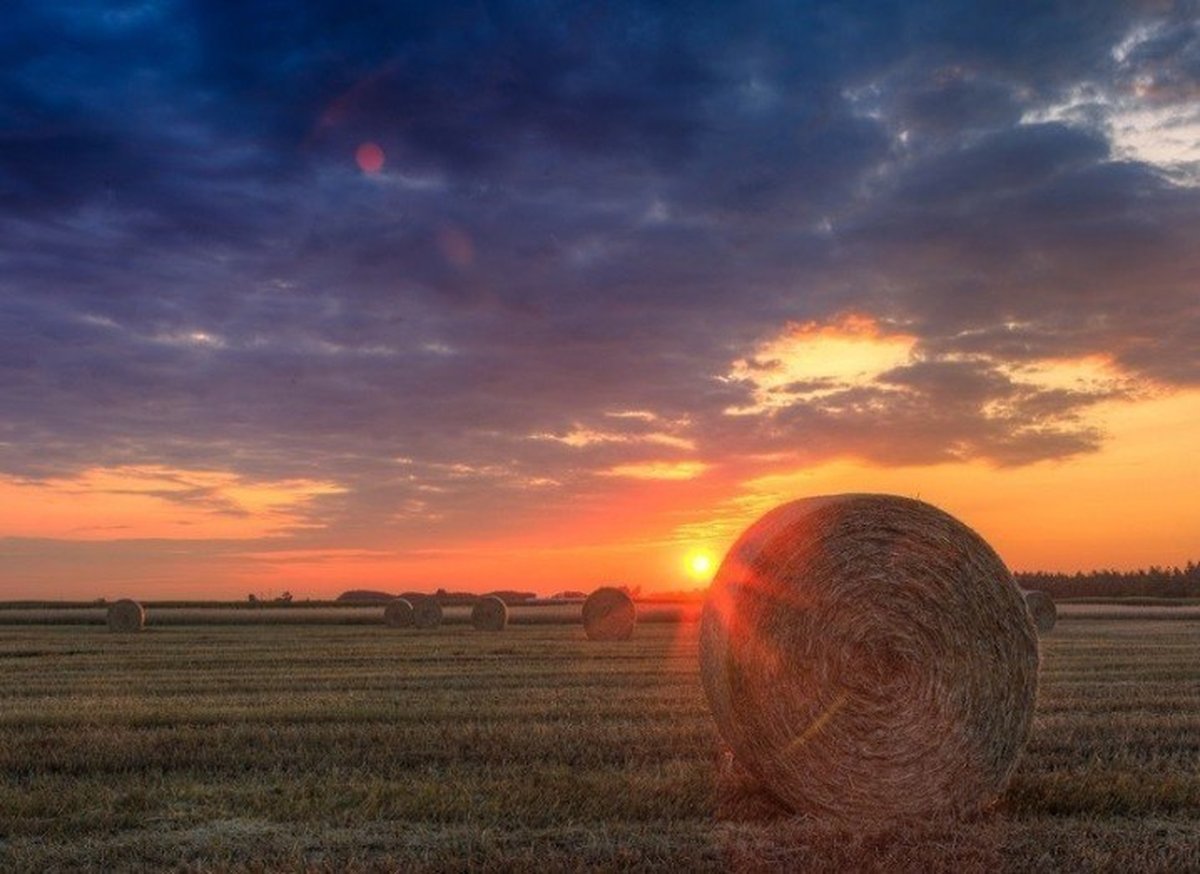 Farming In Hot Weather | Today with Claire Byrne - RTÉ Radio 1