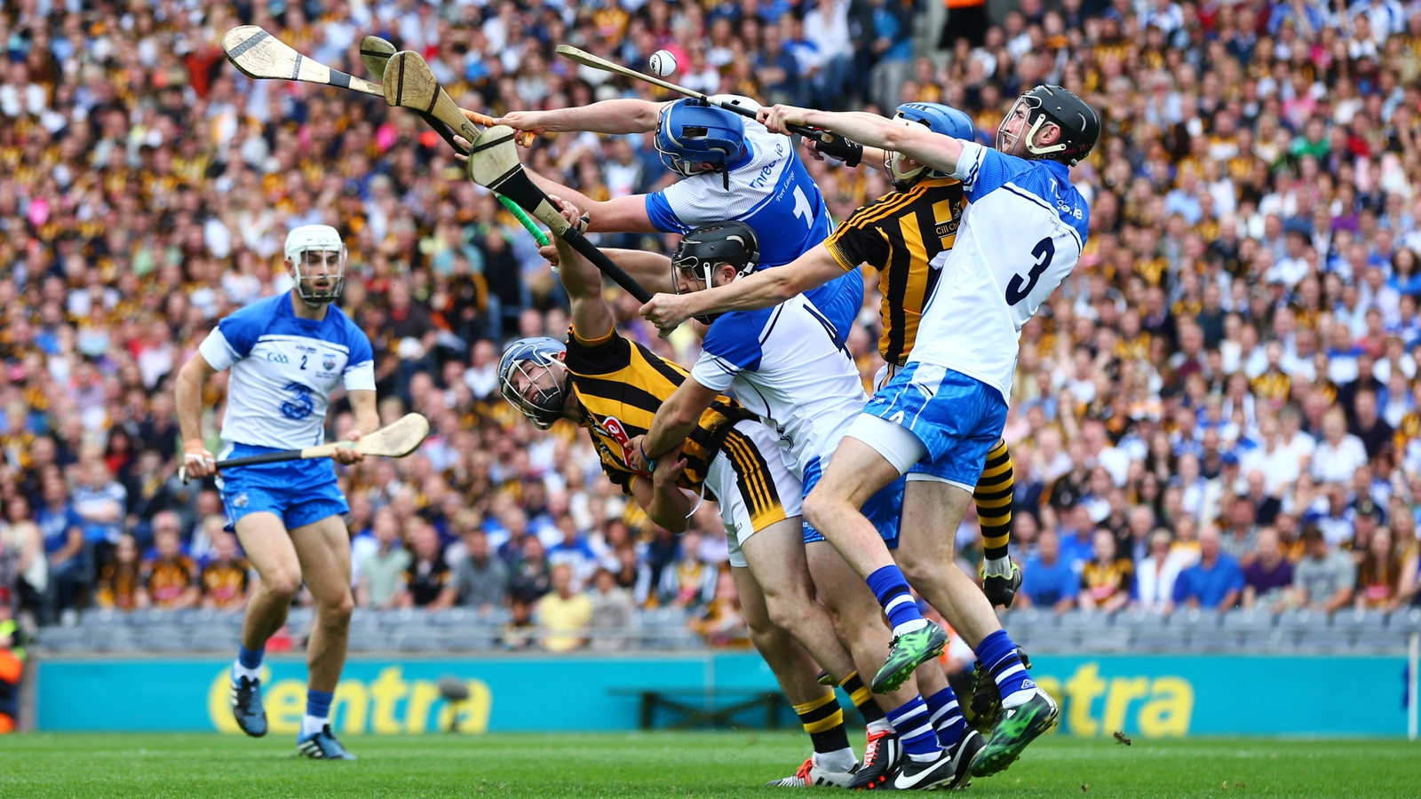 PODCAST: Cats hurl themselves into September