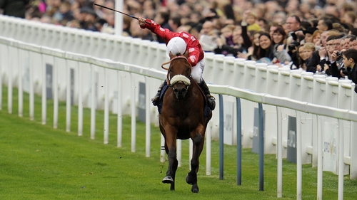 Maarek shoots to Bullett Sprint Stakes victory