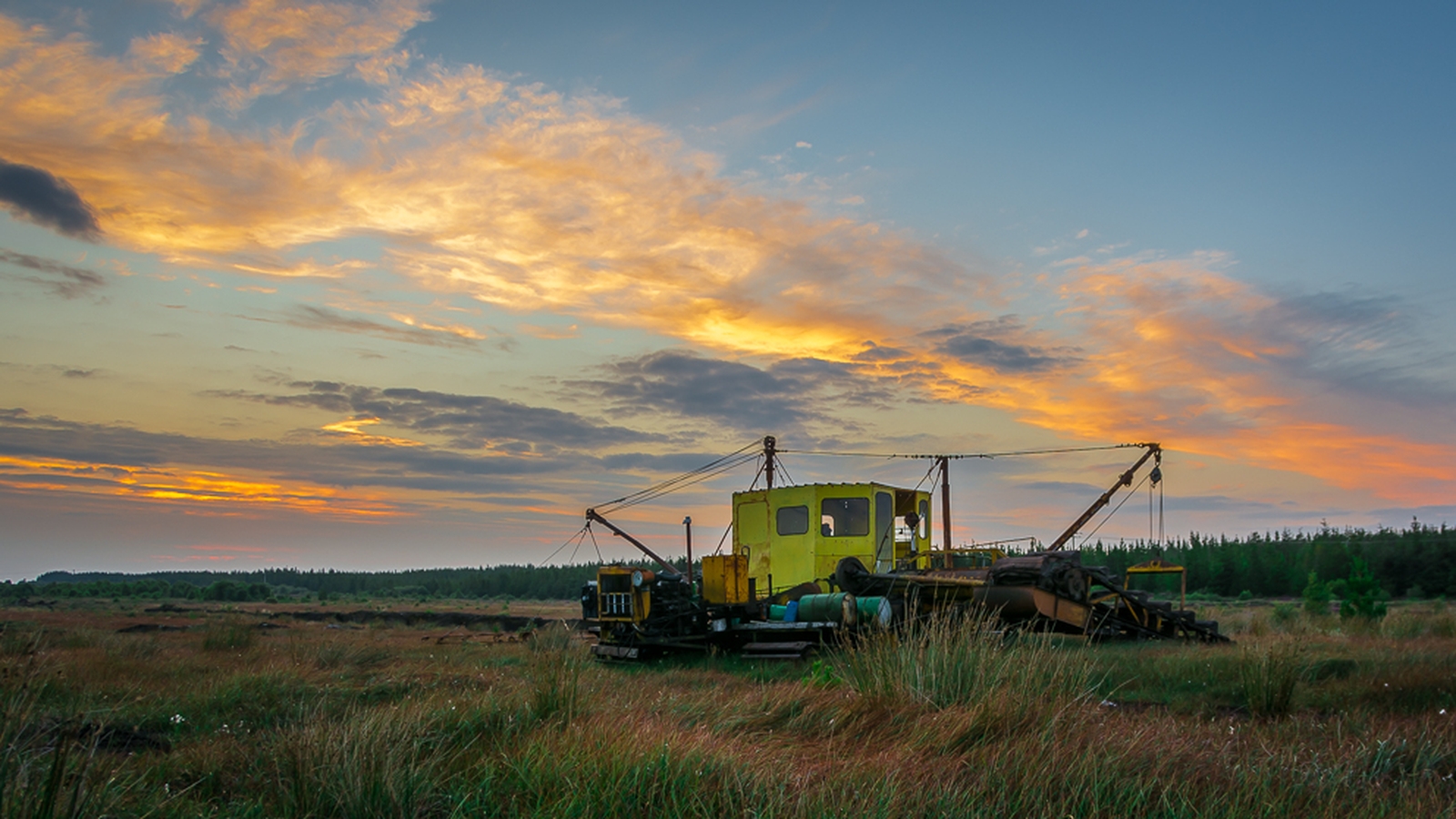 The inside story of the Irish bog