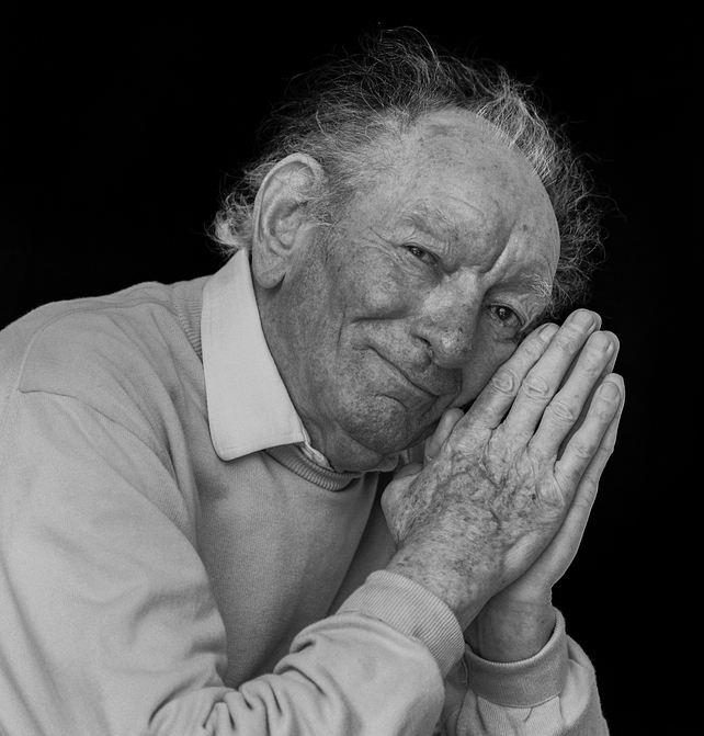 In Pictures - Brian Friel