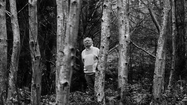 In Pictures - Brian Friel