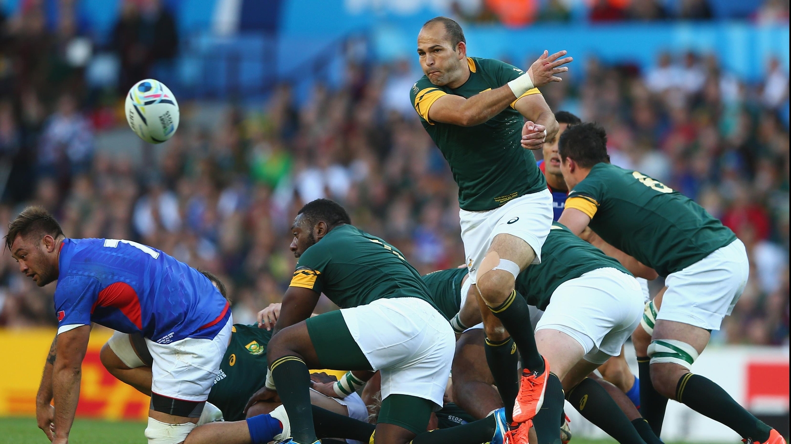 Scrum half key to Springboks' hopes