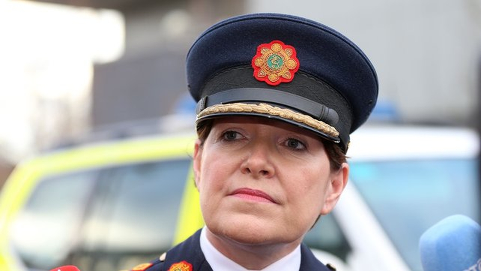 Garda review suspended over conflict of interest